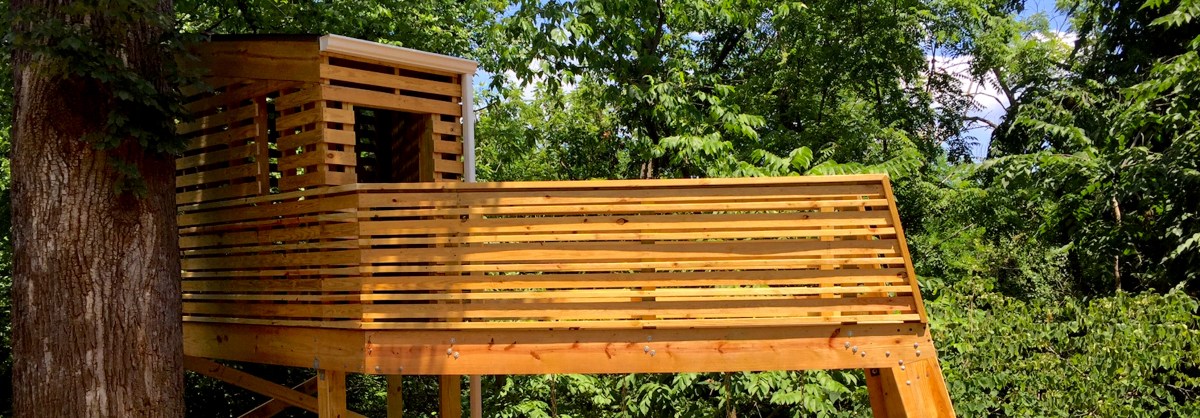 Treehouse construction in 4 Easy steps